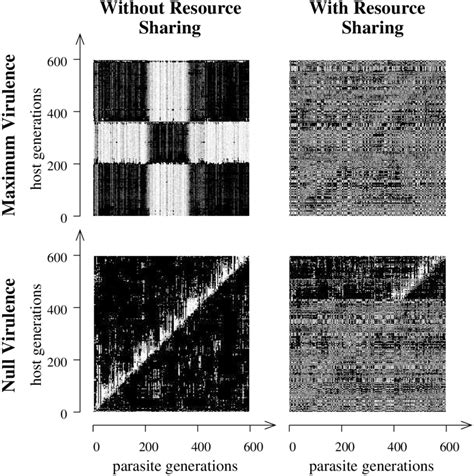 24 Ciao Plots Visualizing Typical Coevolution Of The Coin Toss Game
