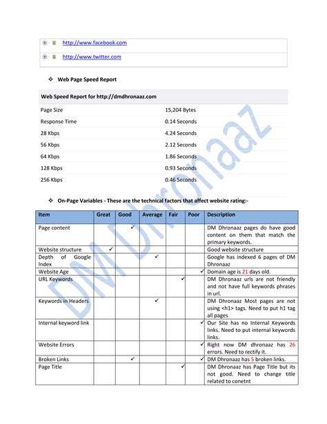 website analysis sample report docx search internet