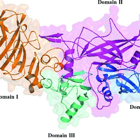 View Of Protective Antigen Protein With Colors Representing The