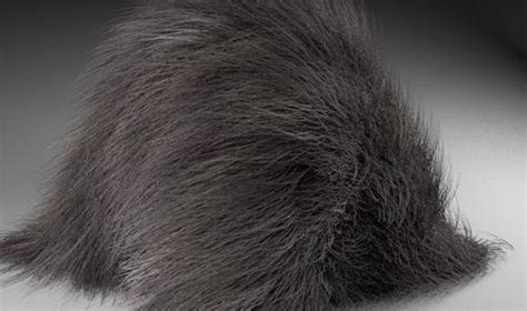 Blender Cycles New Feature Rendering Hair Fur And Grass Blender 3D