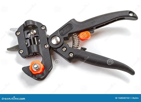 Professional grafting tool stock photo. Image of plant - 168040742