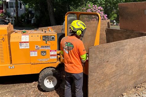 Tree Stump Remover NJ 1 Best