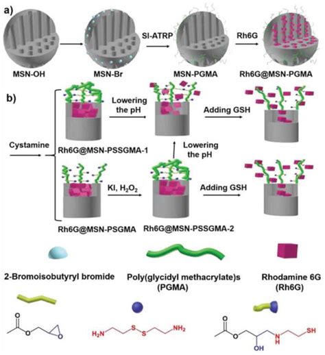 Polymer Functionalization Of Mesoporous Silica Nanoparticles Using