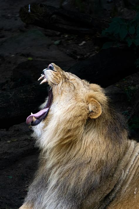 C1 My Session With Ms Rani Kaur In December 2023 I Happened To Be In