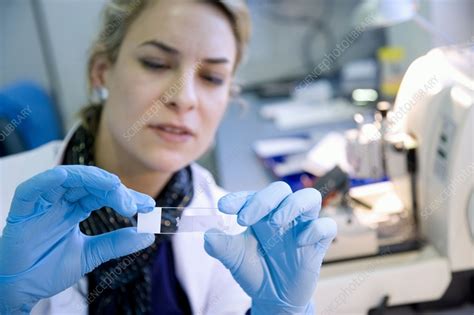 Microtome Stock Image C0614945 Science Photo Library