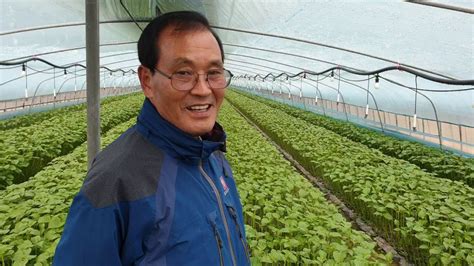 깻잎 다수확 비료량 Ec 엽면시비 황금알농법 Youtube