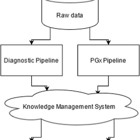 Graphical Representation Of The Main Steps Of The Process Download Scientific Diagram