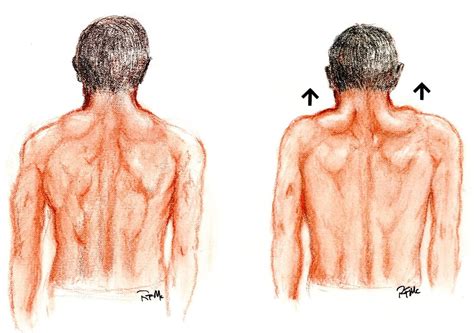 Neck Strengthening Exercises Physical Therapy Neck Strengthening Exercises Physical Therapy