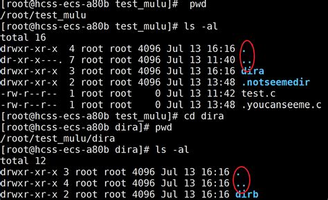 【linux】基本指令详解 一 树状文件结构、家目录、绝对 相对路径、linux文件类型 csdn博客
