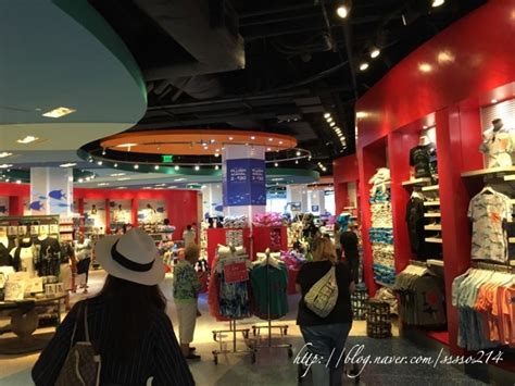 [미국 아틀란타] 고래상어 보러오세요 조지아 아쿠아리움 감동의 돌고래쇼 네이버 블로그