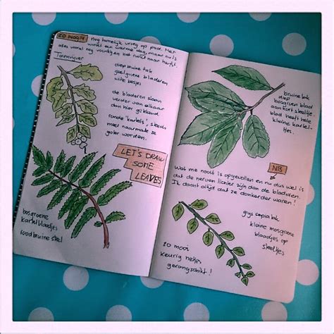 Caatje S Artsy Stuff Field Notes