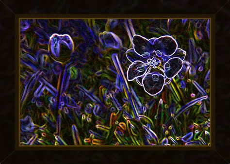 Glow Edge Gallery DBEEL PHOTO GALLERY