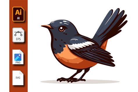 A Shama Thrush Bird Vector Illustration Graphic By Rockavector