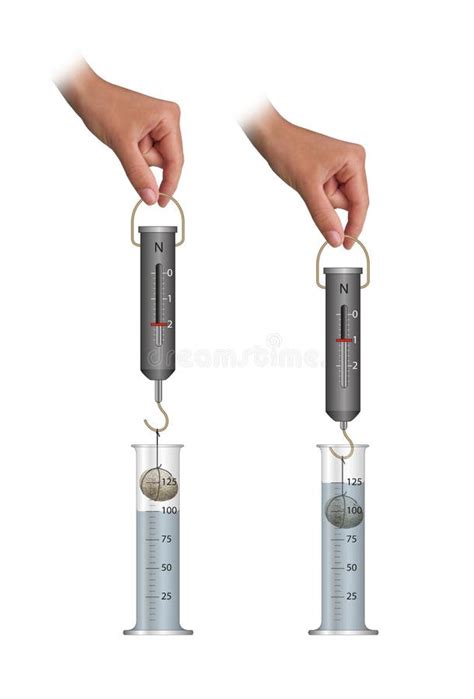 Object Volume Measurement Science Experiment Stock Illustration Illustration Of Quanity
