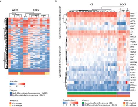 Distinct Idh12 Associated Methylation Profile And Enrichment Of Tp53