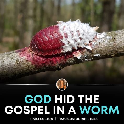 Traci In Psalm 22—a Messianic Prophecy Jesus Quoted On The Cross—we
