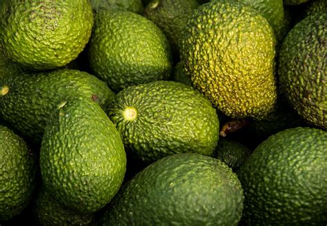 Avocados Harvest Fruit Free Photo On Pixabay