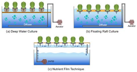 Static Hydroponic Systems