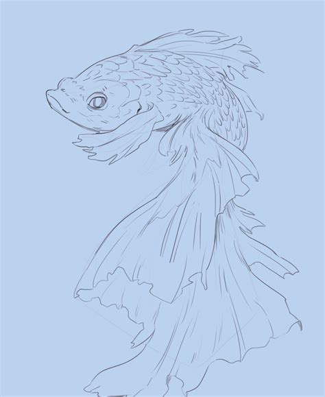 How To Draw Fish A Step By Step Guide The Beginner Drawing Course