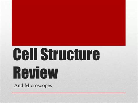 PPT Cell Structure Review PowerPoint Presentation Free Download ID