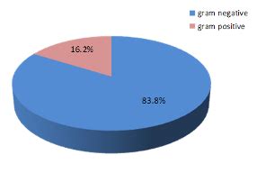 Sex Distribution Of Cases Download Scientific Diagram
