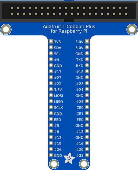how to use t cobbler plus gpio breakout pinouts specs and examples