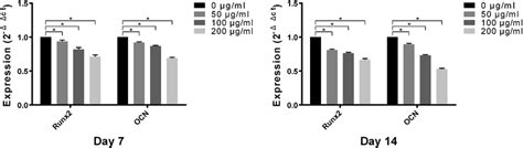 the mrna levels of runx2 and ocn in mc3t3 e1 cells on different