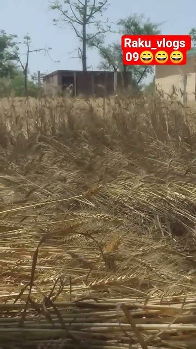 Rakuvlogs 😂😂😂trending Rell Like Comment And Share And Subscribe My