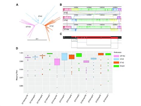 Pangenome Graph Of 3sts N Meningitidis Genomes A Phylogenetic