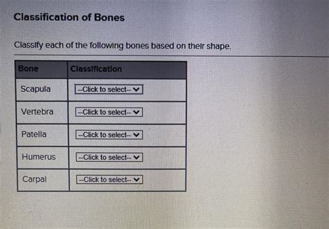 solved classification of bones classify each of the