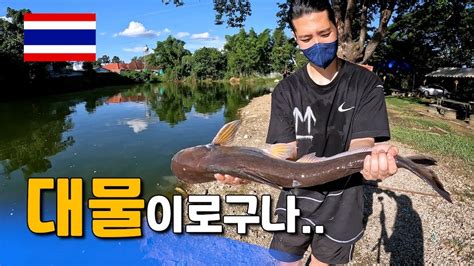 손맛 보장 누구나 잡을 수 있는 대형 물고기 낚시 태국🇹🇭[20] Youtube