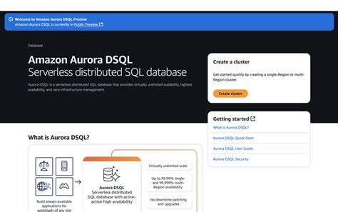 【re invent 2024】aurora の deep dive セッションを受講したら、dsql まで学べた話