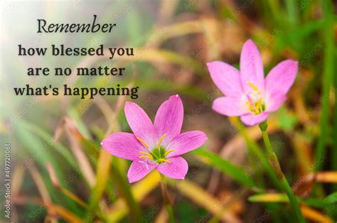 Motivational And Inspirational Quote About Blessing Motivational