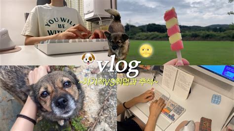 Vlog 차기작 준비와 취업 준비 시골에서 보낸 연휴 웹소설 작가 픽글 할인이벤트 프리랜서 컴활 1급 추석 연휴