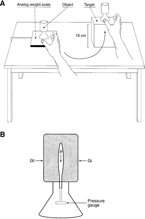 A Pictorial Representation Of The Experimental Set Up B Schematic