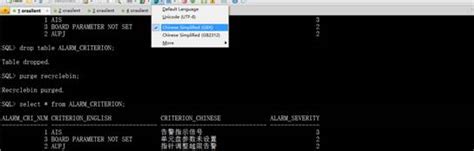oracle expandimp字符集设置与乱码 csdn博客