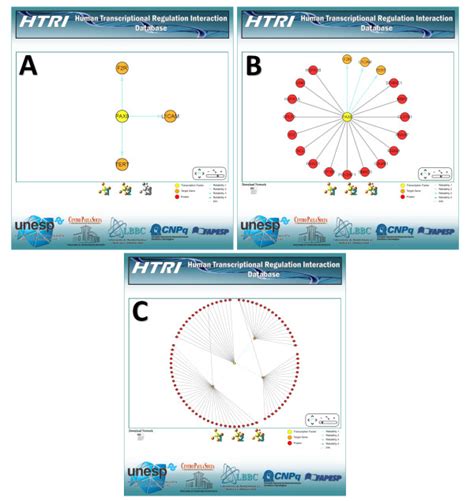 Screenshots Of The Network Visualization Pages This Tool Is Provided Download Scientific