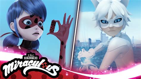 ميراكولوس 🐞 القط الأبيض الإصابة بالأكوما 🐞 قصص الفتاة الدعسوقة و