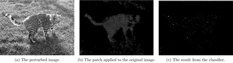 Adverserial Attack Fool The Cat Grass Classifier Using Carlini And