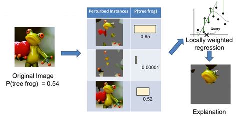 Explanation Of Models Based On The Example Of Lime How Does Ml Work