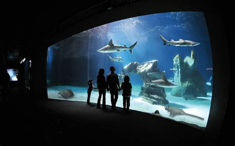 Biglietti Dellacquario Di Genova Ingresso Riservato Combo