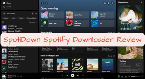 Spotidown Review And Alternative [full Guide]