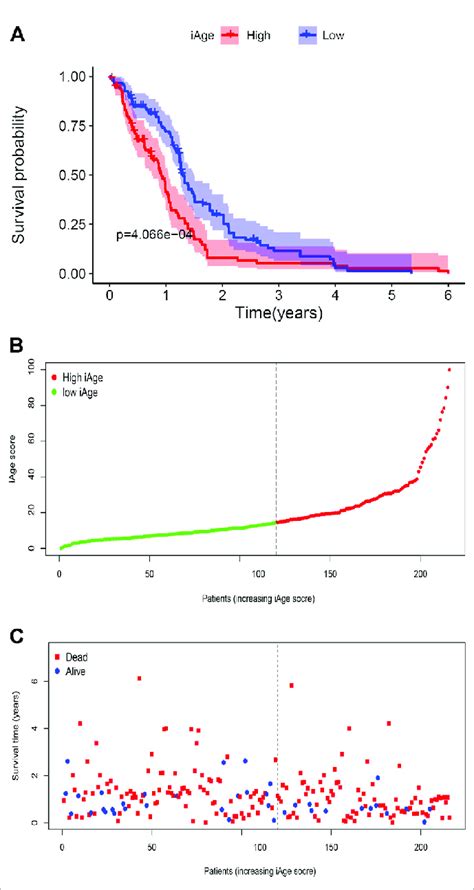 Validation Of Gbm Subtype Classification Based On Iage From Cgga A
