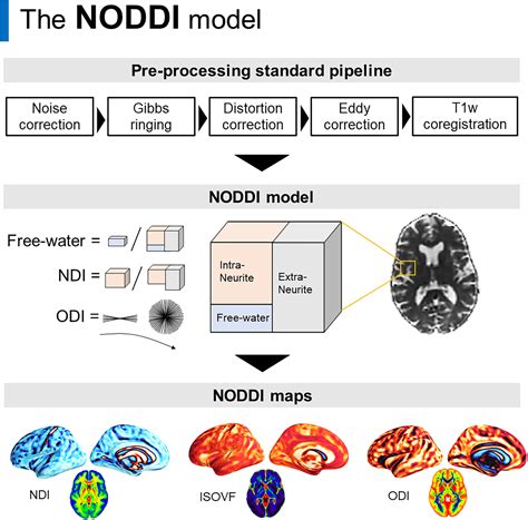 Neurite Orientation Dispersion And Density Imaging In Multiple