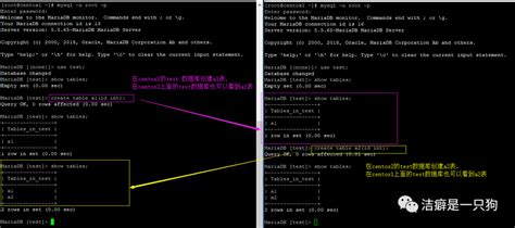 手把手教你搭建 Mysql 主从复制经典架构（一主一从、主主、一主多从、多主一从） 腾讯云开发者社区 腾讯云