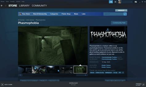 steam authentication failed phasmophobia