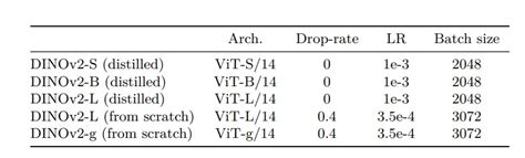 Self Supervised Learning Approach With Dinov2