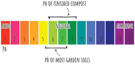 Compost Ph The Role Of Ph Levels In Composting