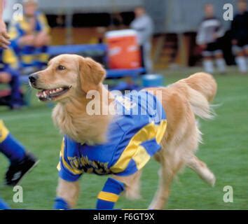 Jun 29 2001 Vancouver Bc Canada A Scene From The Movie Starring
