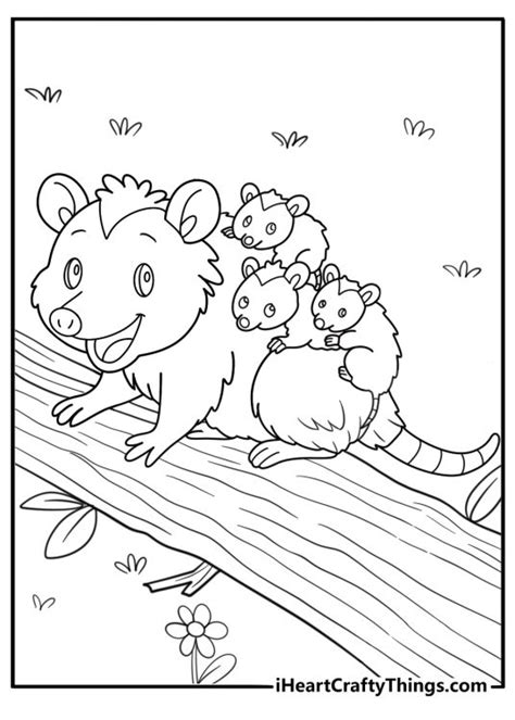 20 Opossum Coloring Pages Printable Pdfs For Free
